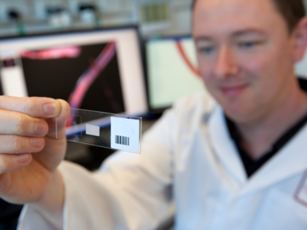 Physical Evidence Forensic Services Assist Crime Investigations ...