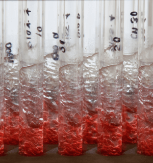 Forensic Science With Defensible Chemical Analysis And Testing - ChemCentre